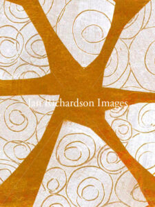 In the Beginning – Jan Richardson Images